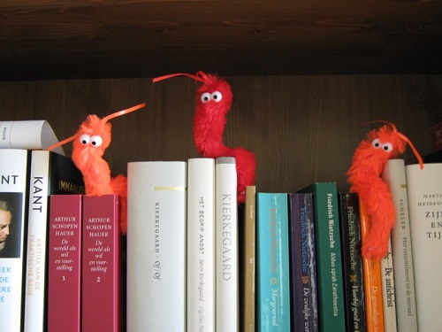 Alwin Stegeman | More